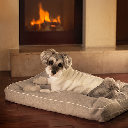 design f online shop / living FIR down dog bed